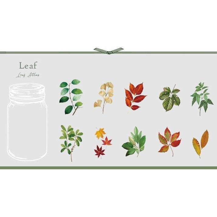 Heido Plant Stickers Pack – OBUJO